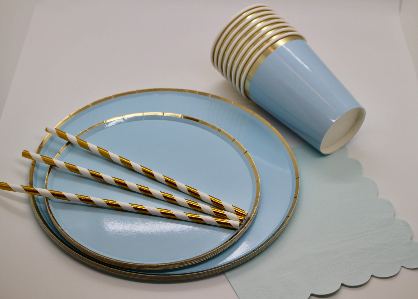 Light Blue Paper Plates - Set of 8 – YourPartyBox.com