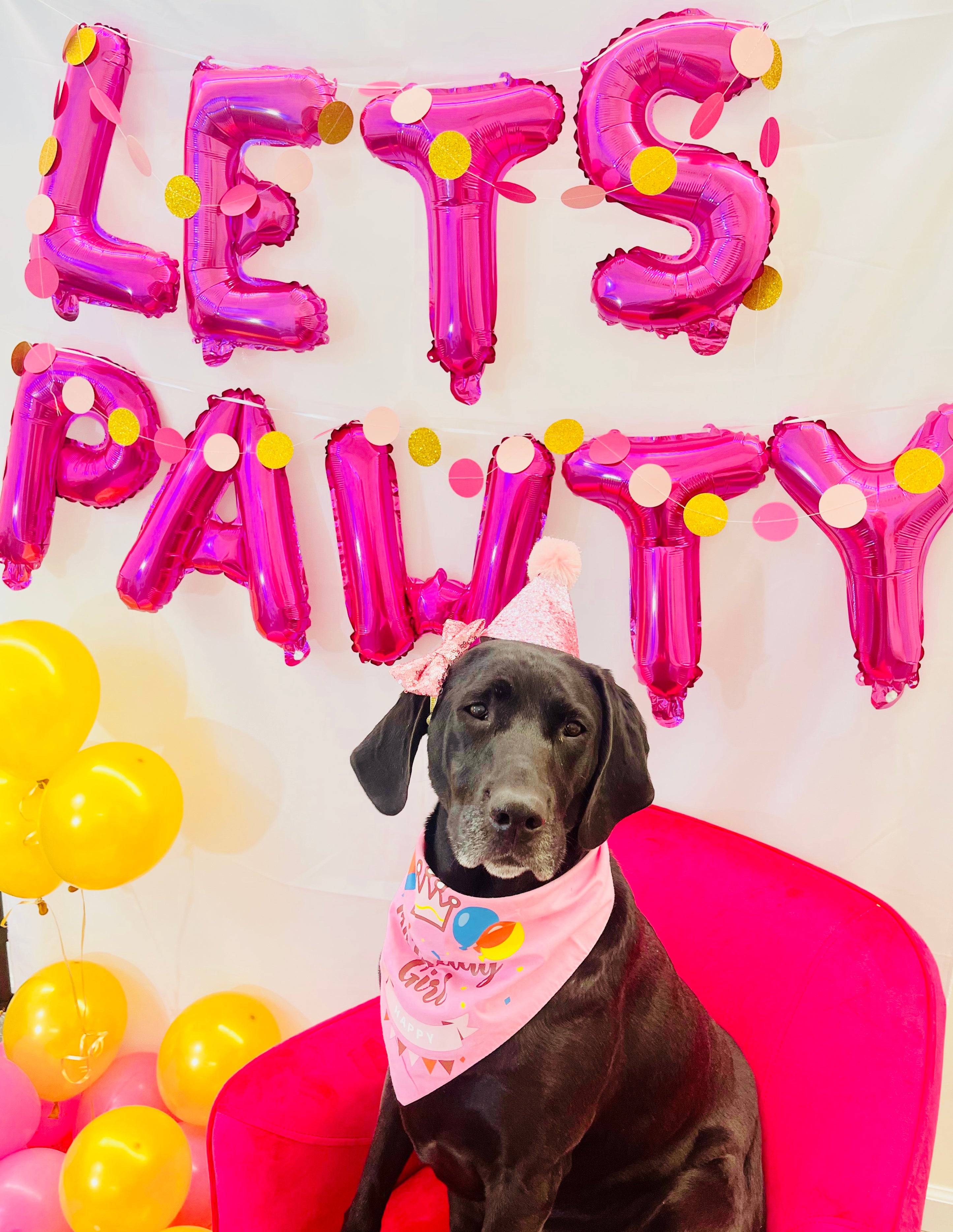 Puppy Pawty Box, Pink – YourPartyBox.com